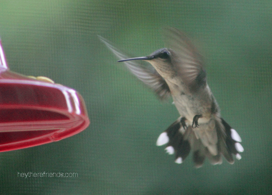 Just Humming Right Along – hey there, friends