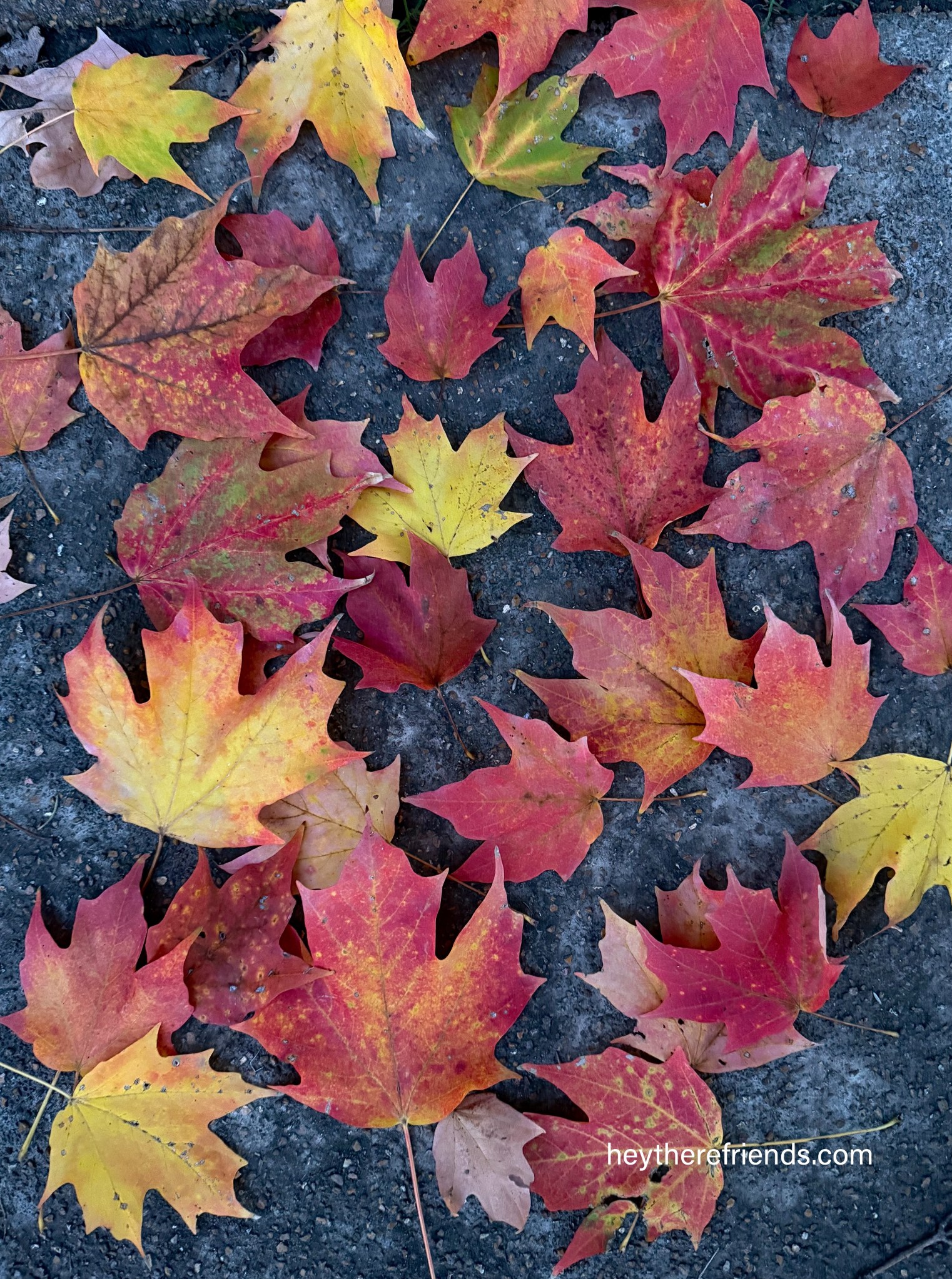 Swoon – hey there, friends